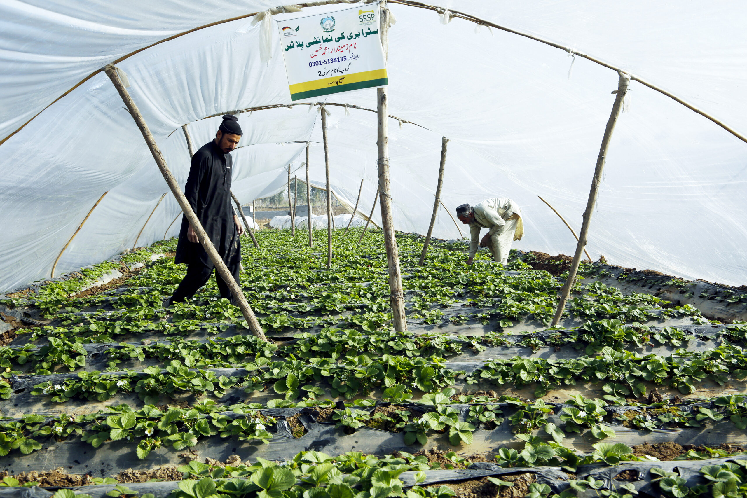 Climate Change Adaptation and mitigation – SRSP