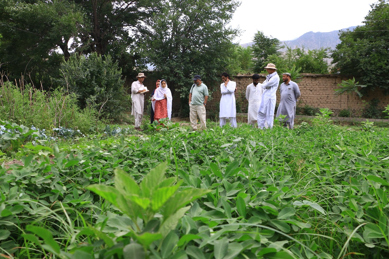 Rehabilitation, Expansion, and Strengthening of Agriculture Research Center (ARS) in District ...
